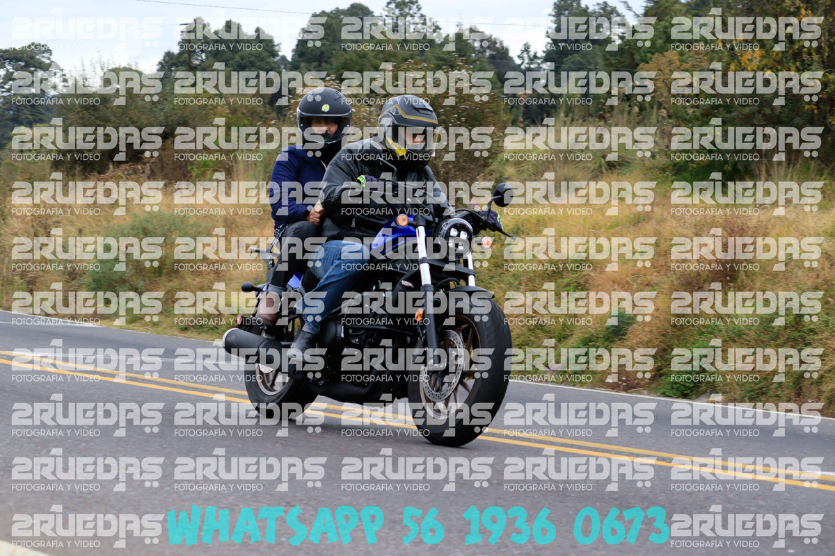 MG 0723 — Postimages