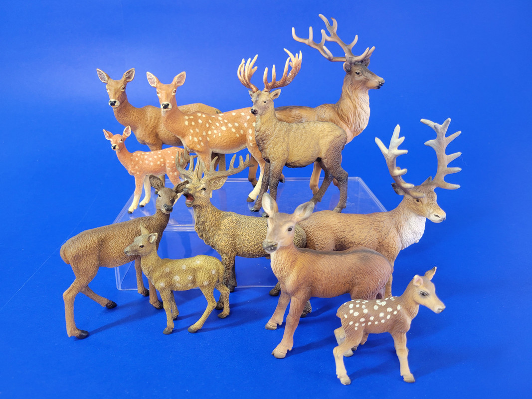 20240210 125025 — Postimages