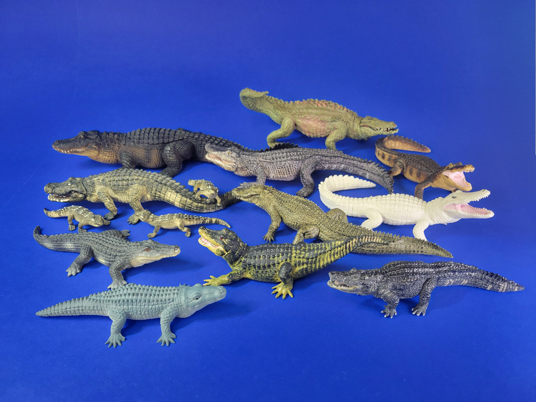 20240114 140146 — Postimages