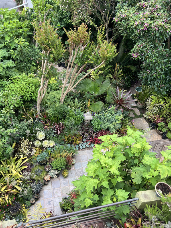 IMG 5377 — Postimages