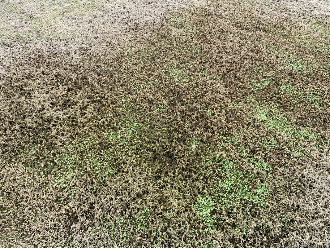 IMG 2004 — Postimages