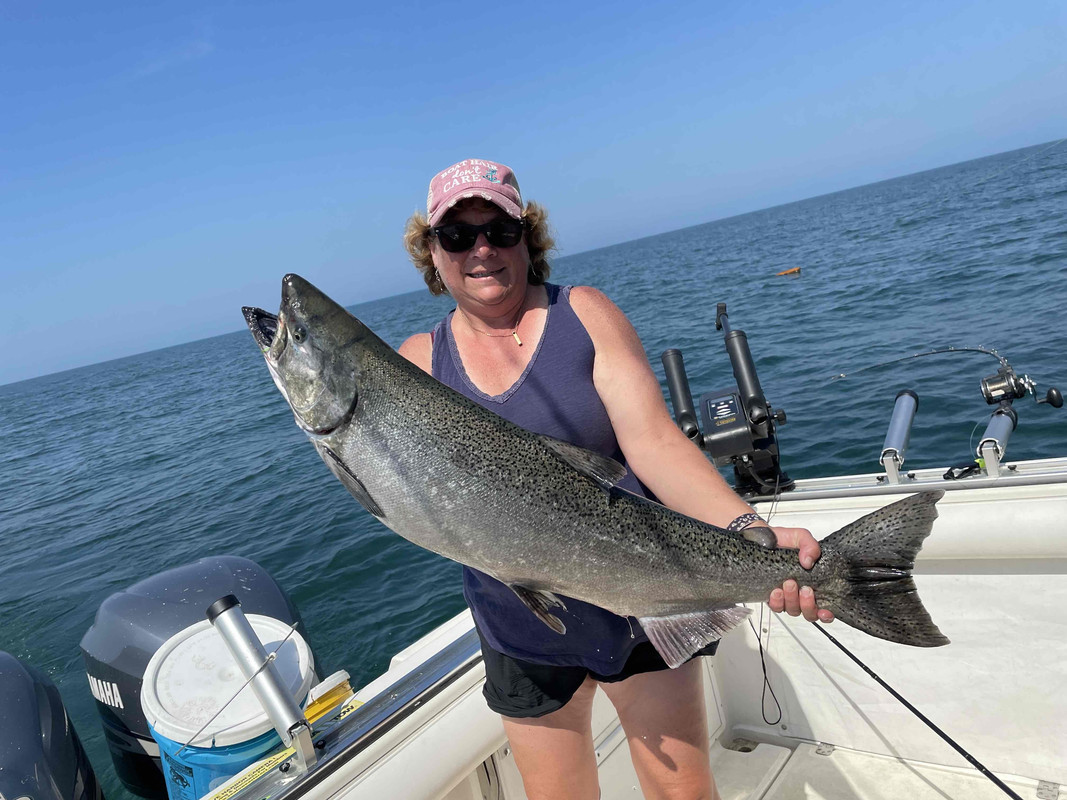 07718 FE9 AF8 D 4 DE1 B3 BC CA7 BD36 B0 F83 — Postimages