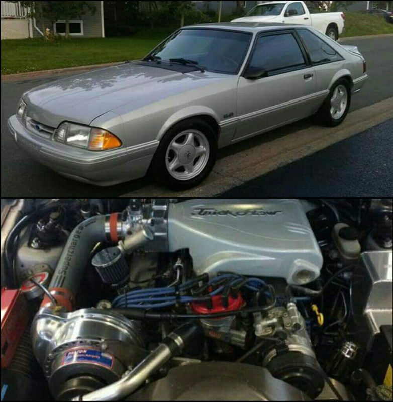 20988577 1425428974209696 3753158991584200956 o — Postimages