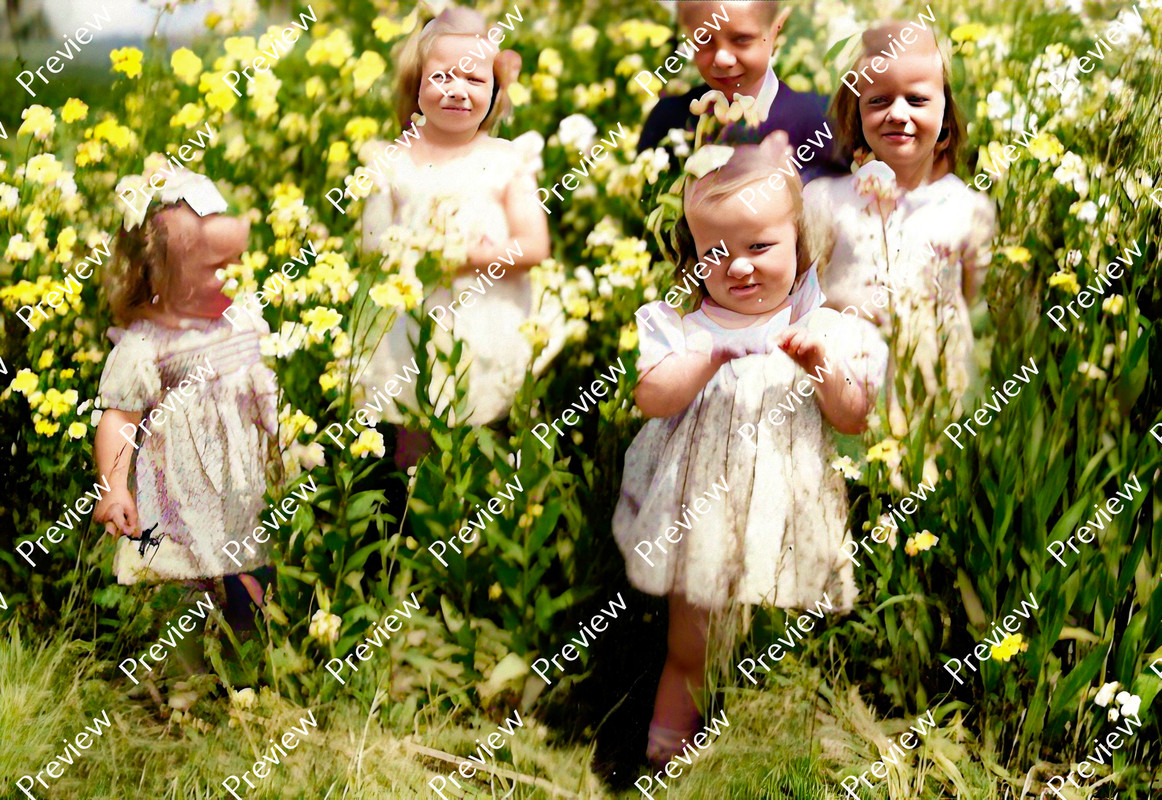 cwvwvmda9l6b11 Enhanced Colorized adjust — Postimages