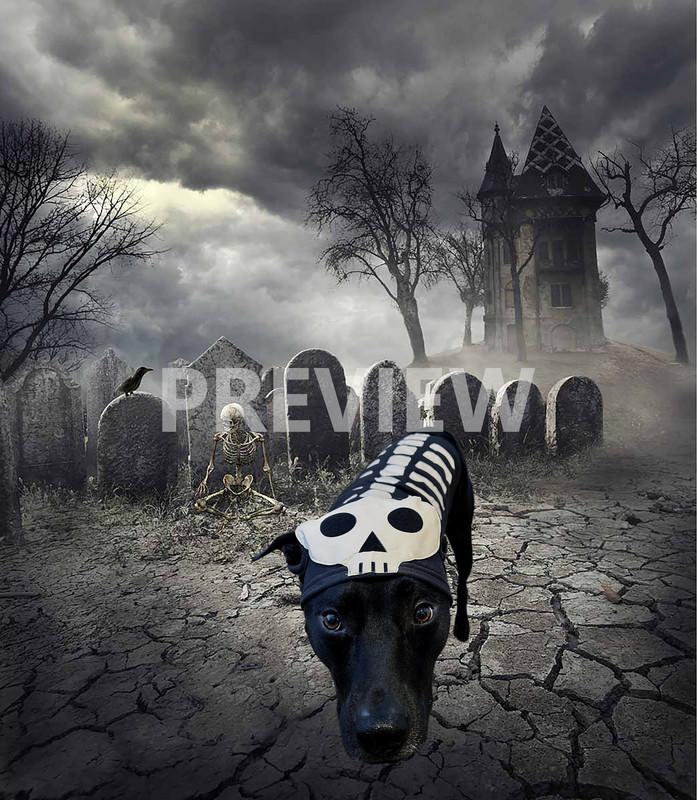 c Efz YT new — Postimages