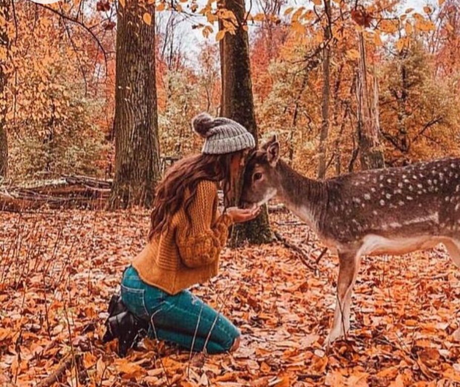 Screenshot 20230131 014831 Chrome — Postimages