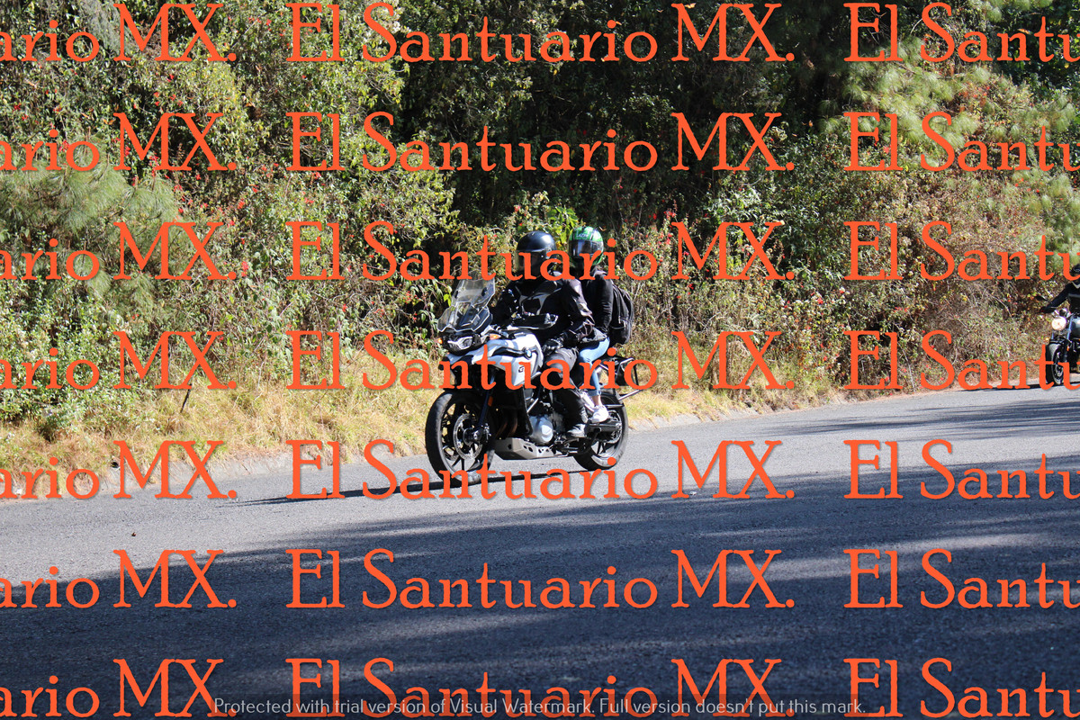 IMG 2395 — Postimages