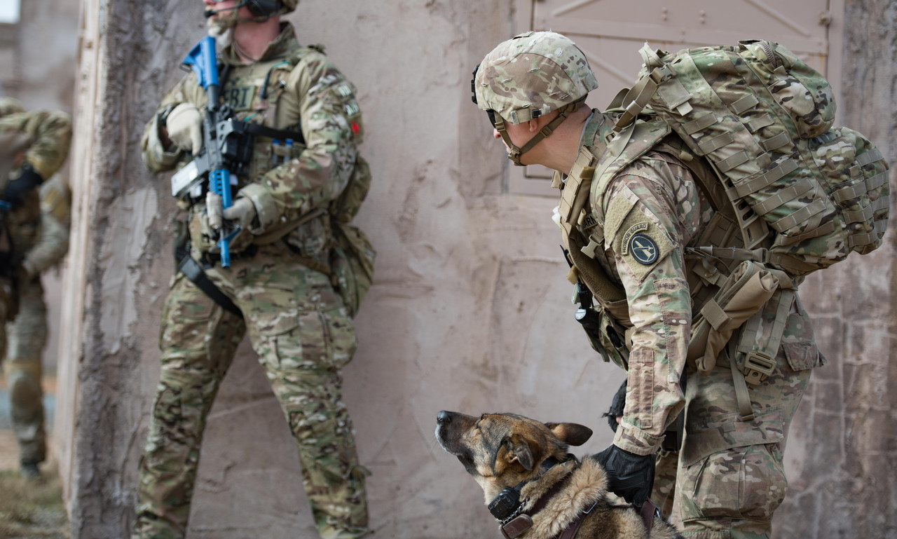 33803269742 b85137ee9d o — Postimages