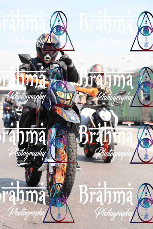 IMG 1533 — Postimages