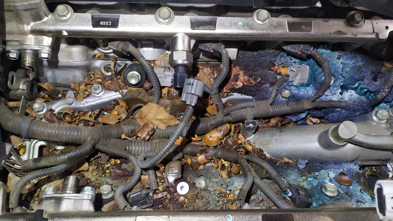 1675978667763 — Postimages