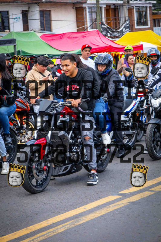 IMG 2014 — Postimages