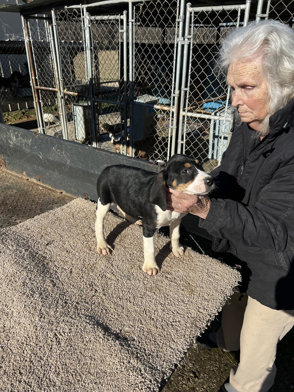 03695 D71 4601 4838 917 F BD7 D3 BEAC635 — Postimages