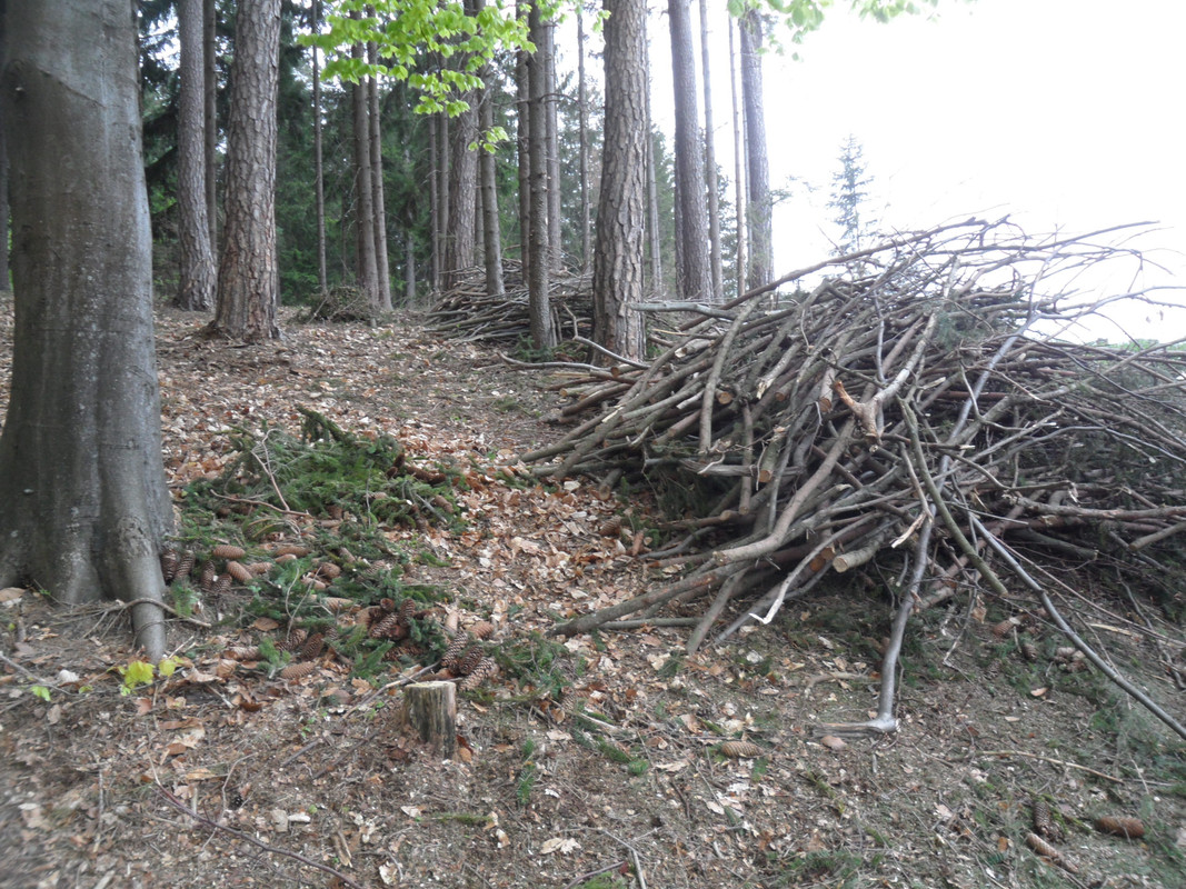 SAM 0745 — Postimages