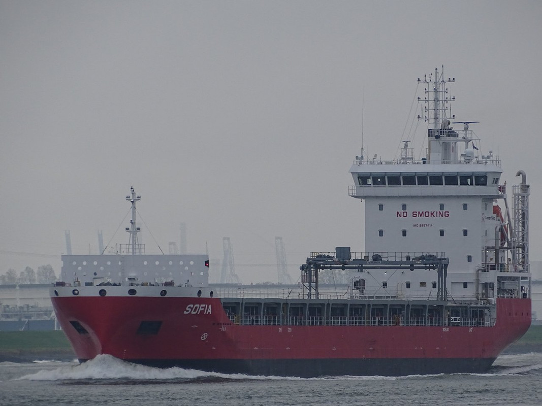 Sofia, 29 10 2024, nr 1 — Postimages