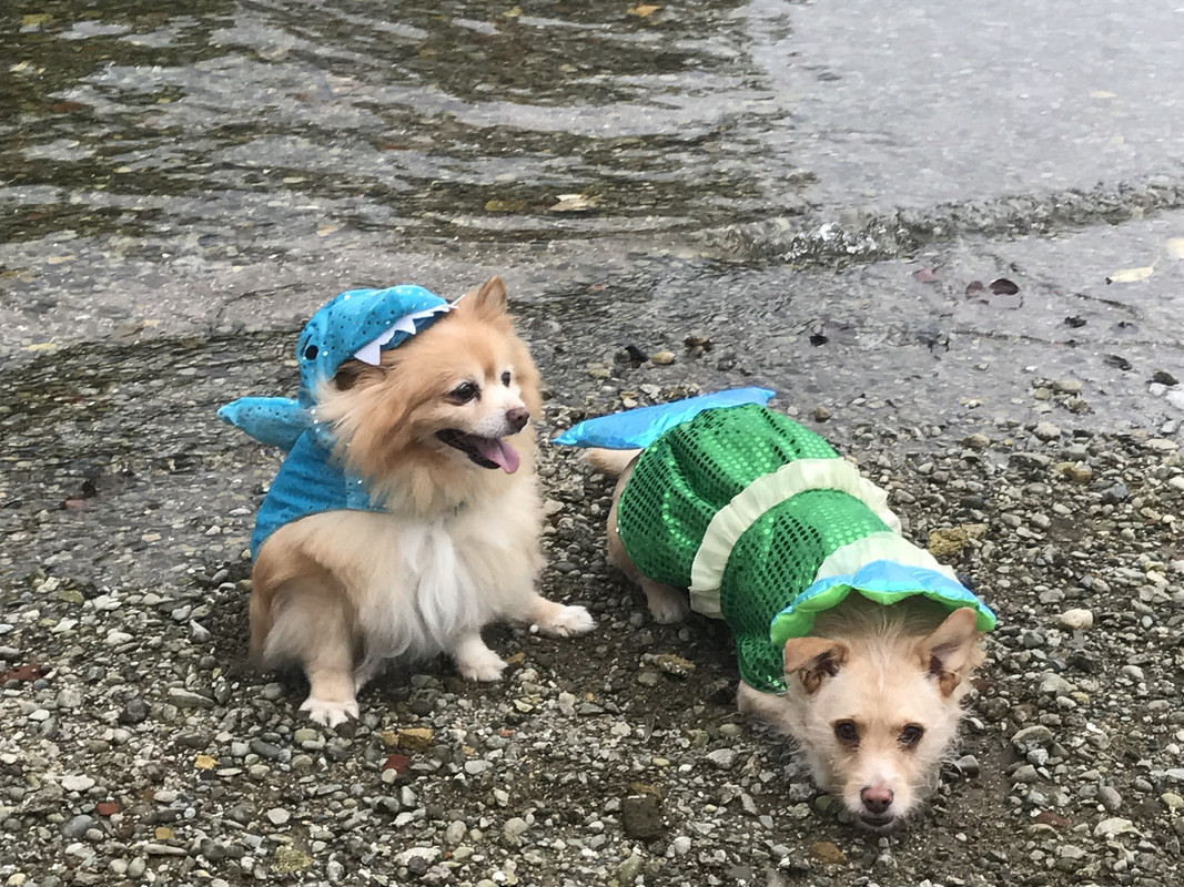 B9619278 9094 4186 BDC9 AD3827 F472 FB — Postimages