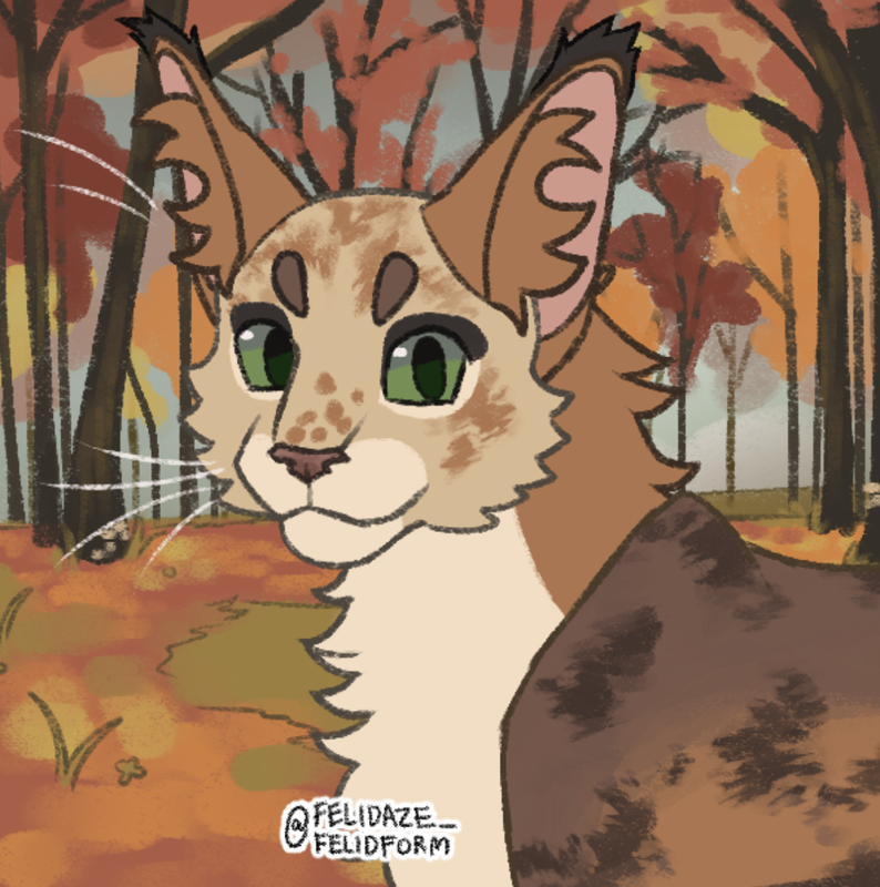 IMG 0668 — Postimages