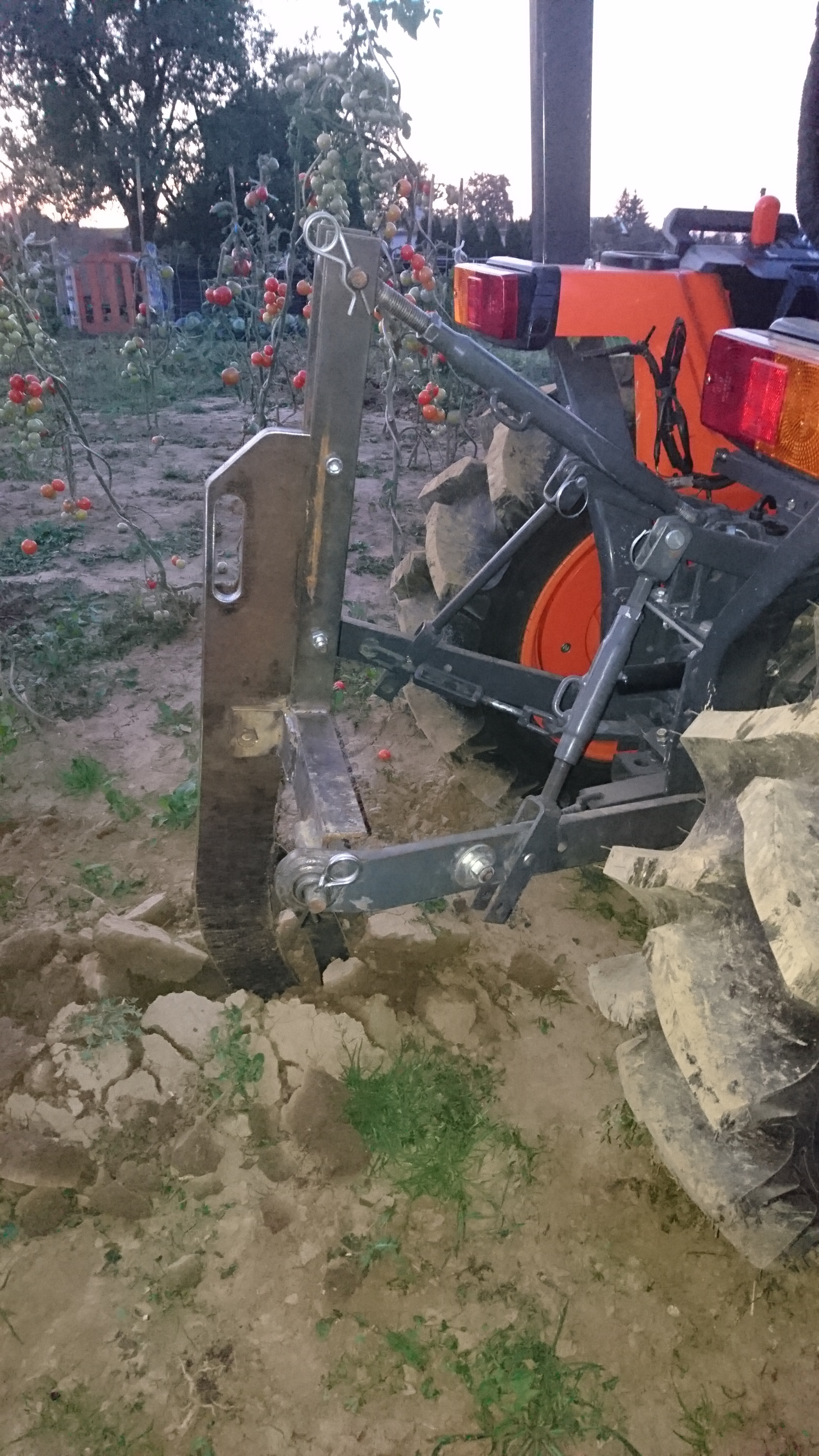 DSC 0835 — Postimages