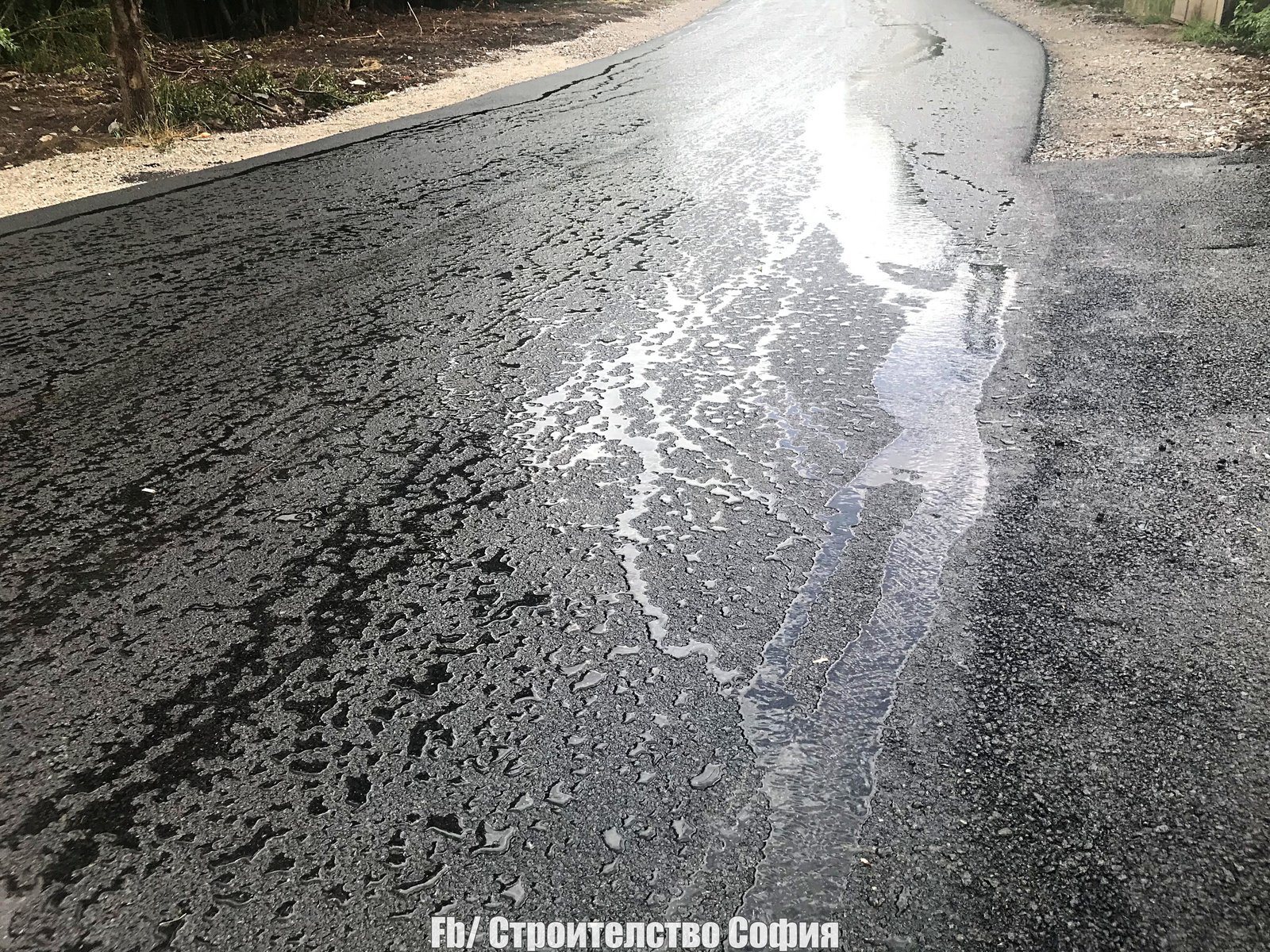 batch IMG 2227 — Postimages