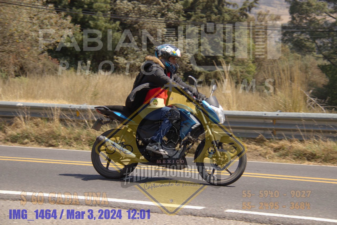 IMG 1464 — Postimages