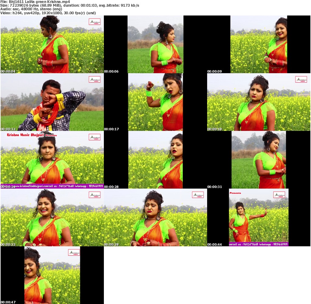 Bhj1611 Lalita green Krishna — Postimages