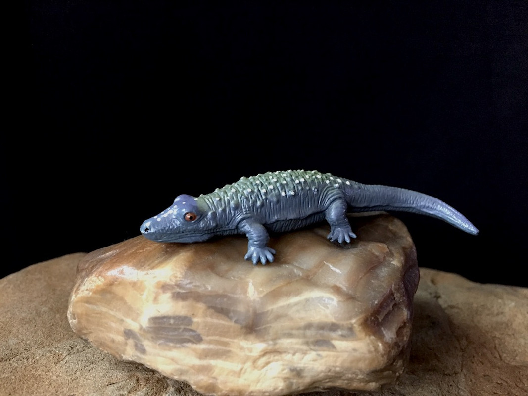 UNADJUSTEDNONRAW thumb c4ca — Postimages