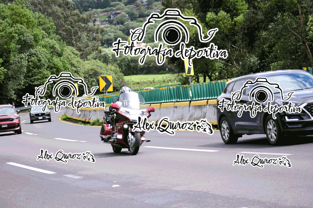 AVQ 7374 — Postimages