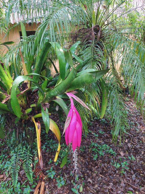 IMG 20201009 134935 — Postimages