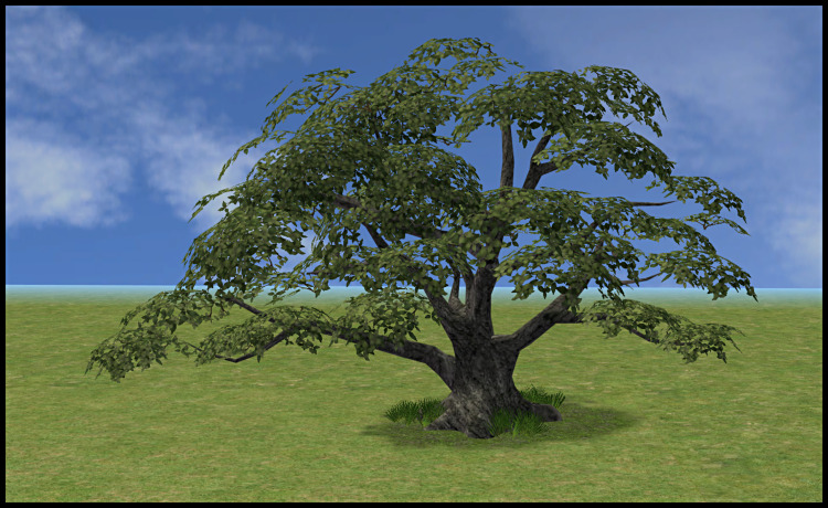 GCA 4T2 Rustic Romance Tree of Love