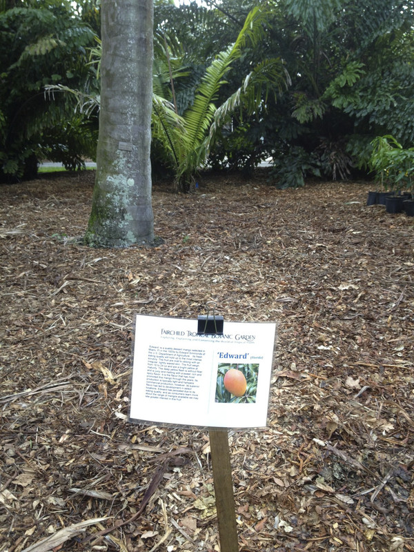 IMG 2536 — Postimages