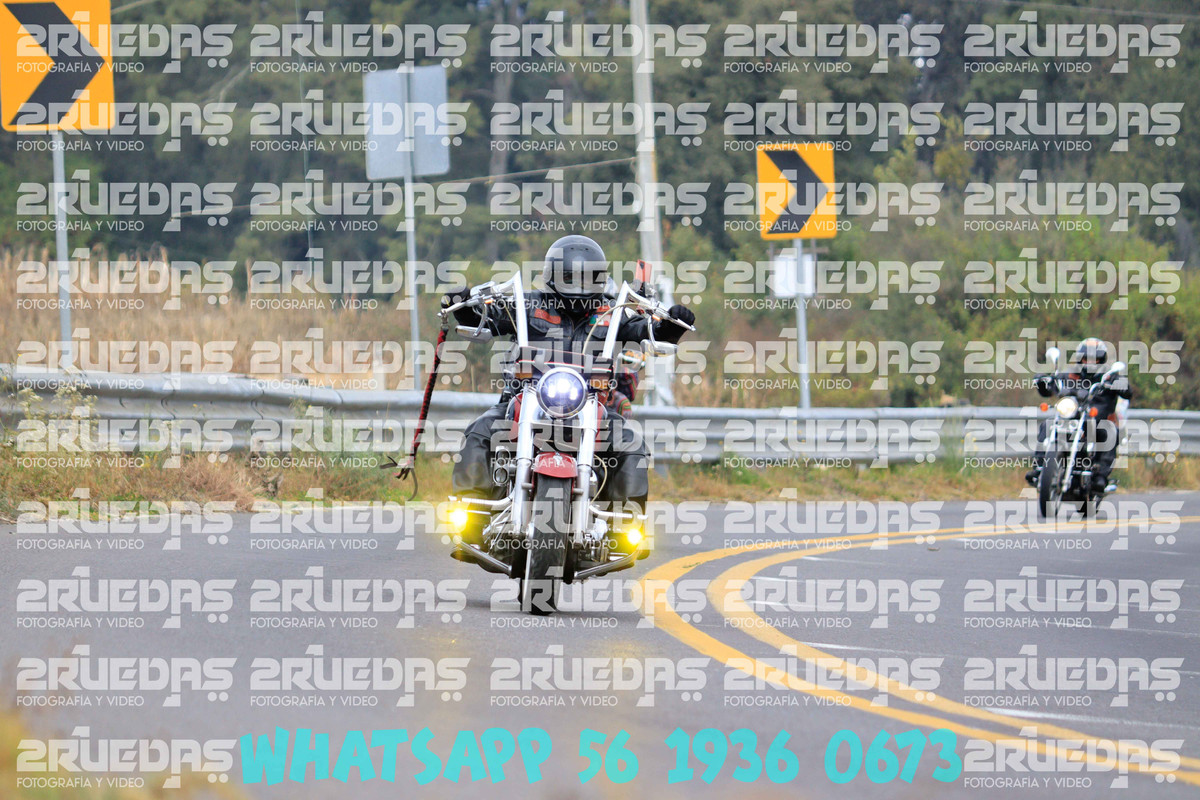 MG 0515 — Postimages