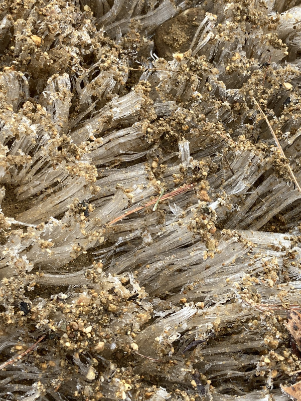 IMG 4429 — Postimages