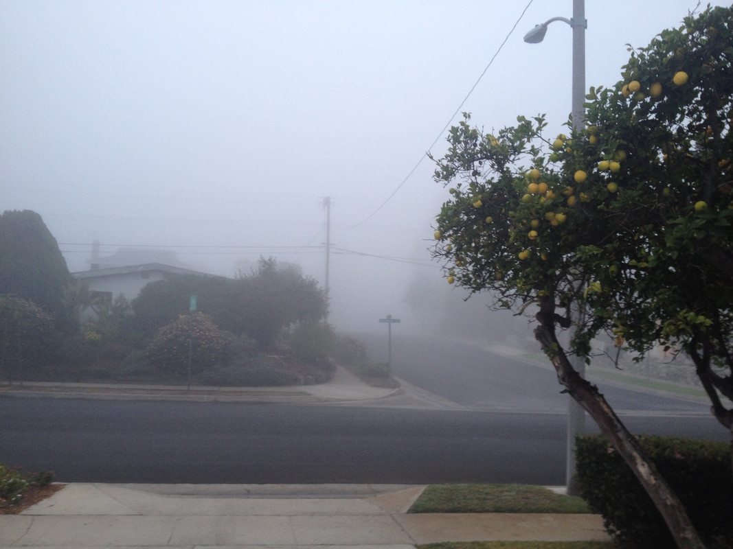 IMG 0754 — Postimages