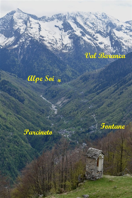 DSC 1160 — Postimages