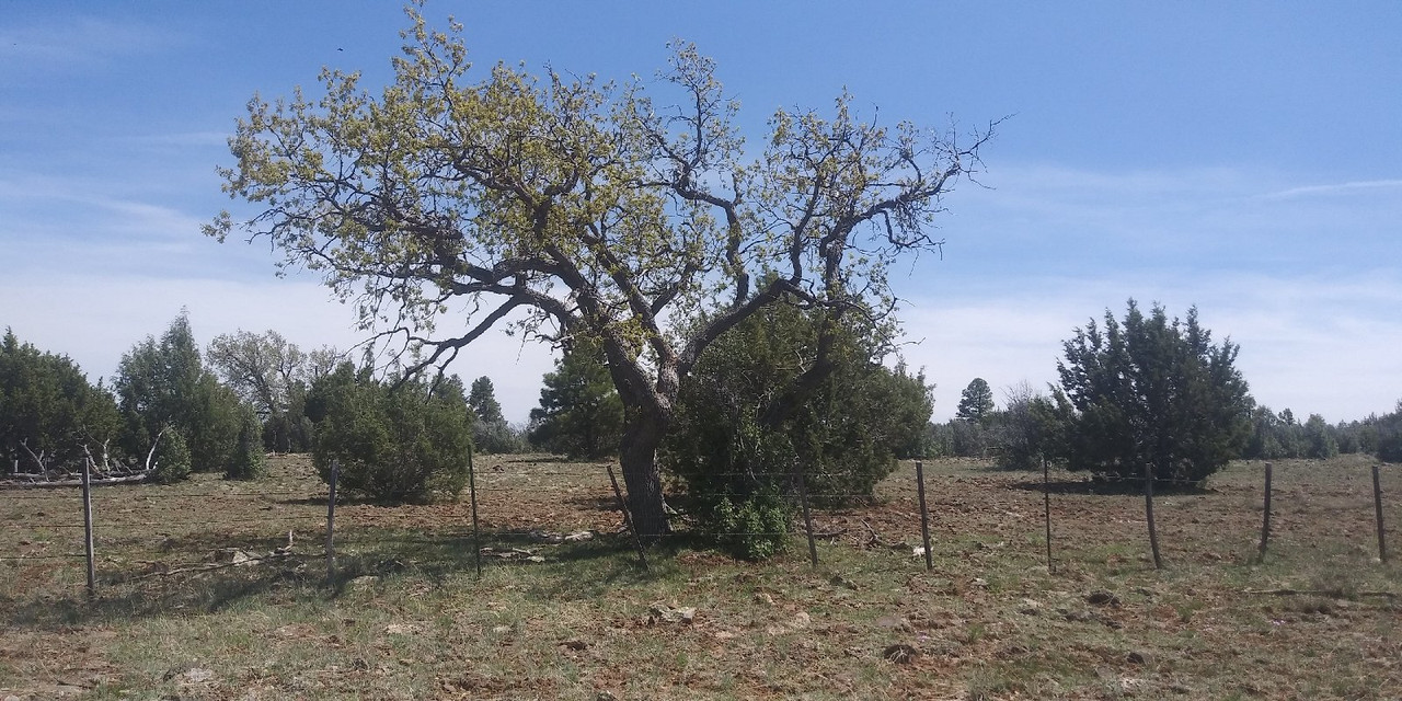 20200508 135412 — Postimages