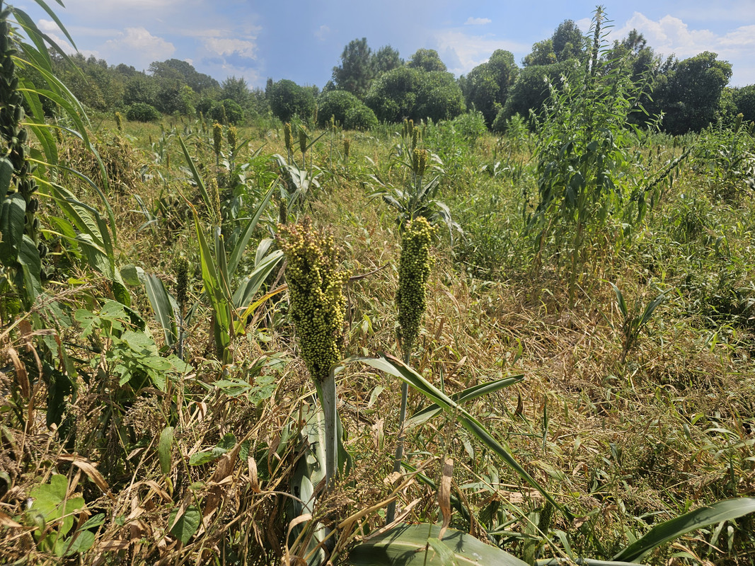 20240829 130616 — Postimages