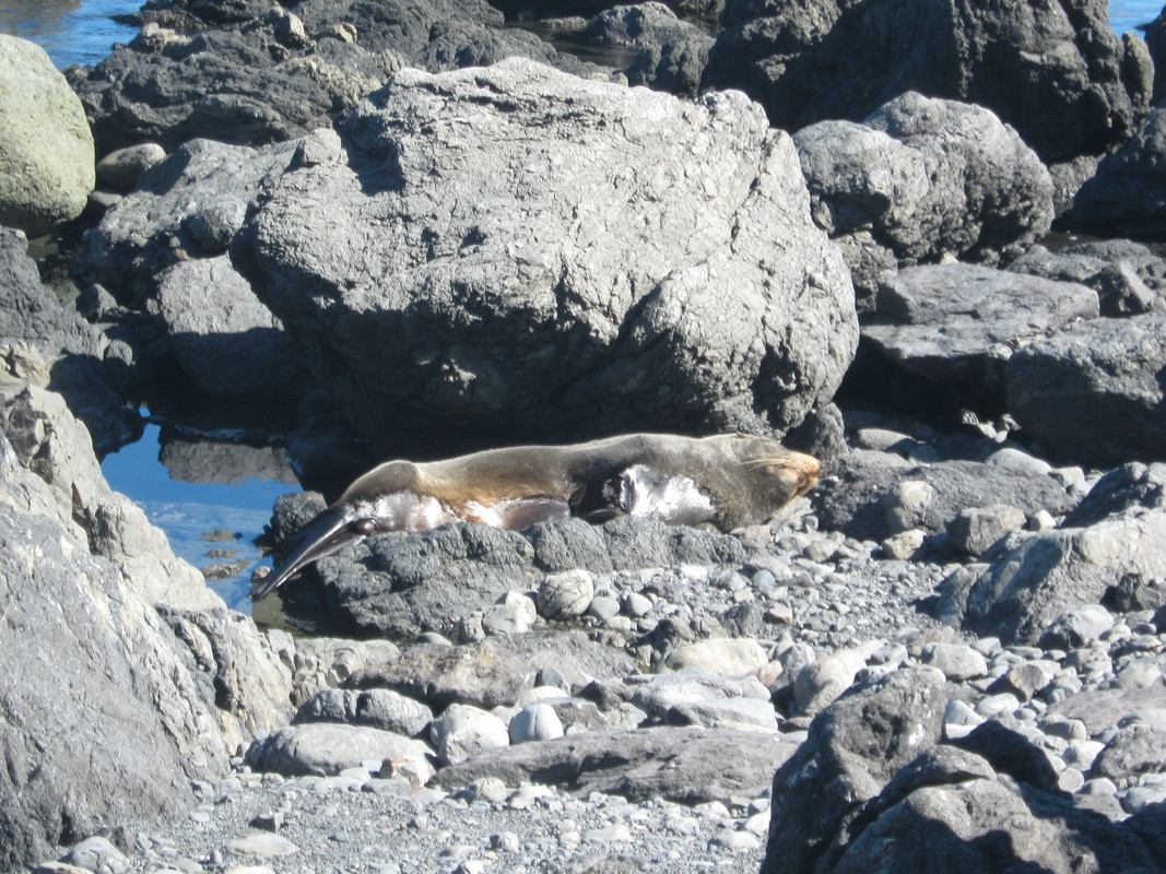 IMG 0686 — Postimages