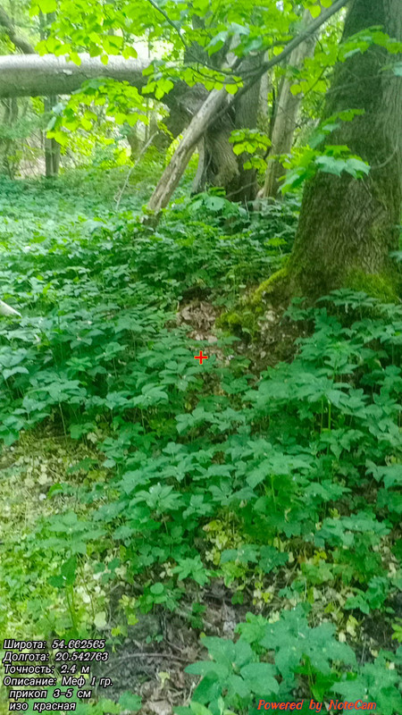 Меф 1 гр 031 — Postimages