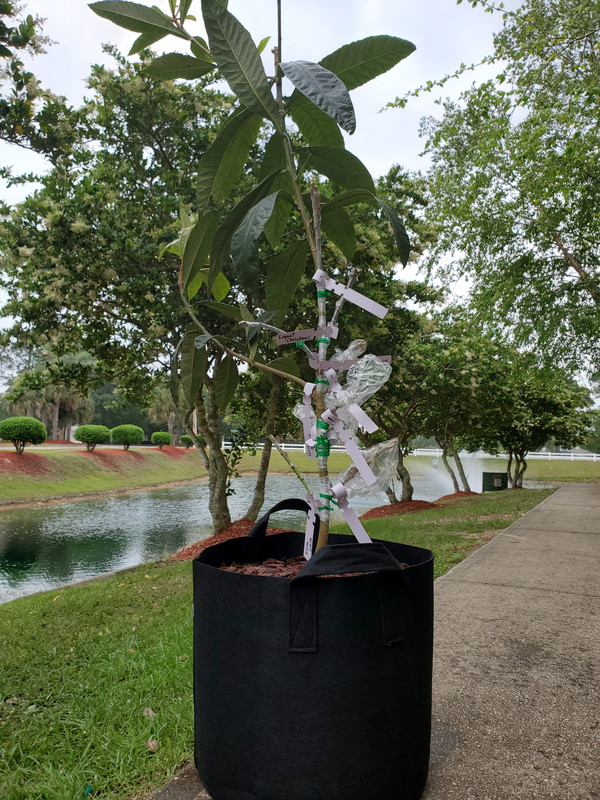 20200419 140111 — Postimages