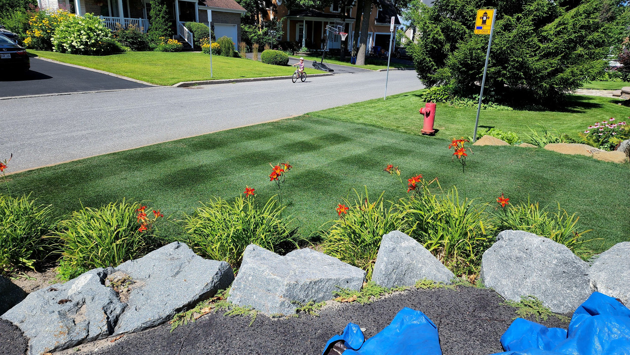 20220731 110257 — Postimages