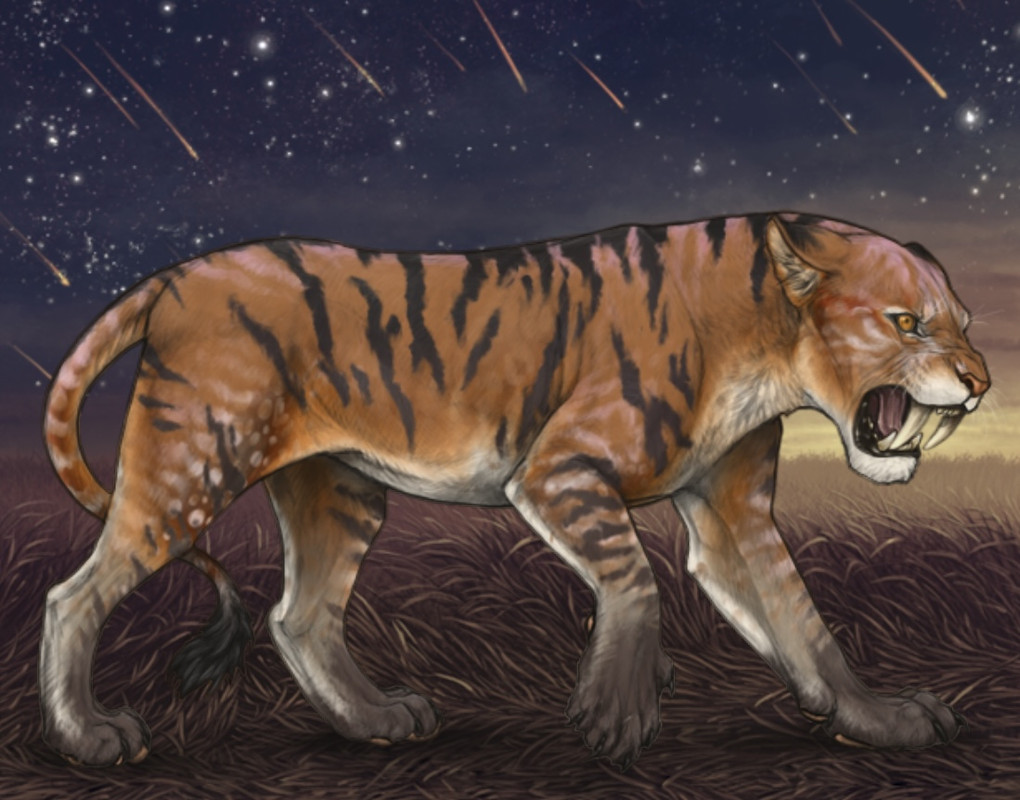 2733 E286 7762 42 D2 8 E7 E 6 CB5489 F4 C84 — Postimages