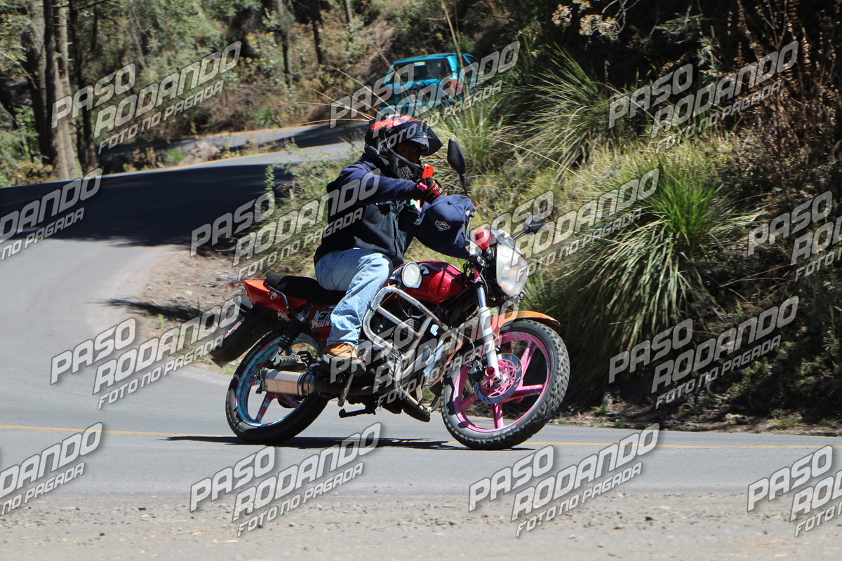 IMG 9294 wm 53633 59999999963 watermarked — Postimages