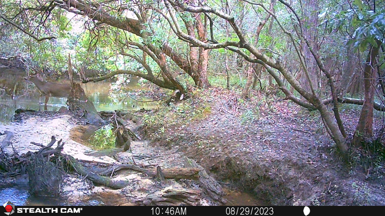 STC 0043 — Postimages