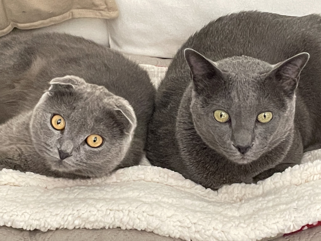 IMG 1209 — Postimages