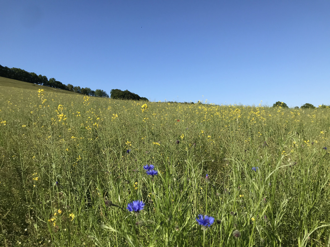 276 C30 B7 539 D 4 Df7 87 F1 E73 B142487 E2 Postimages