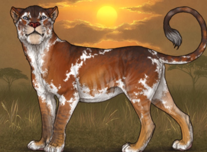 Cerberus's Auctions, AMP's, Felis+Ferus, Pies :|: Lioden