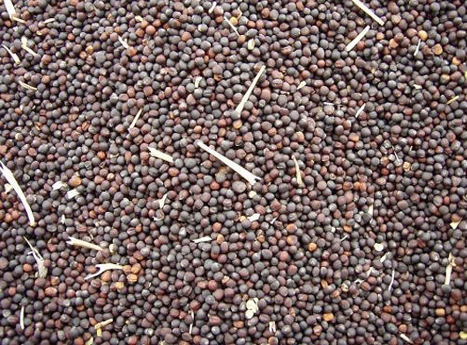 [Thread Ufficiale] Le immagini di Windows 10 - Windows 10 SpotLight ...