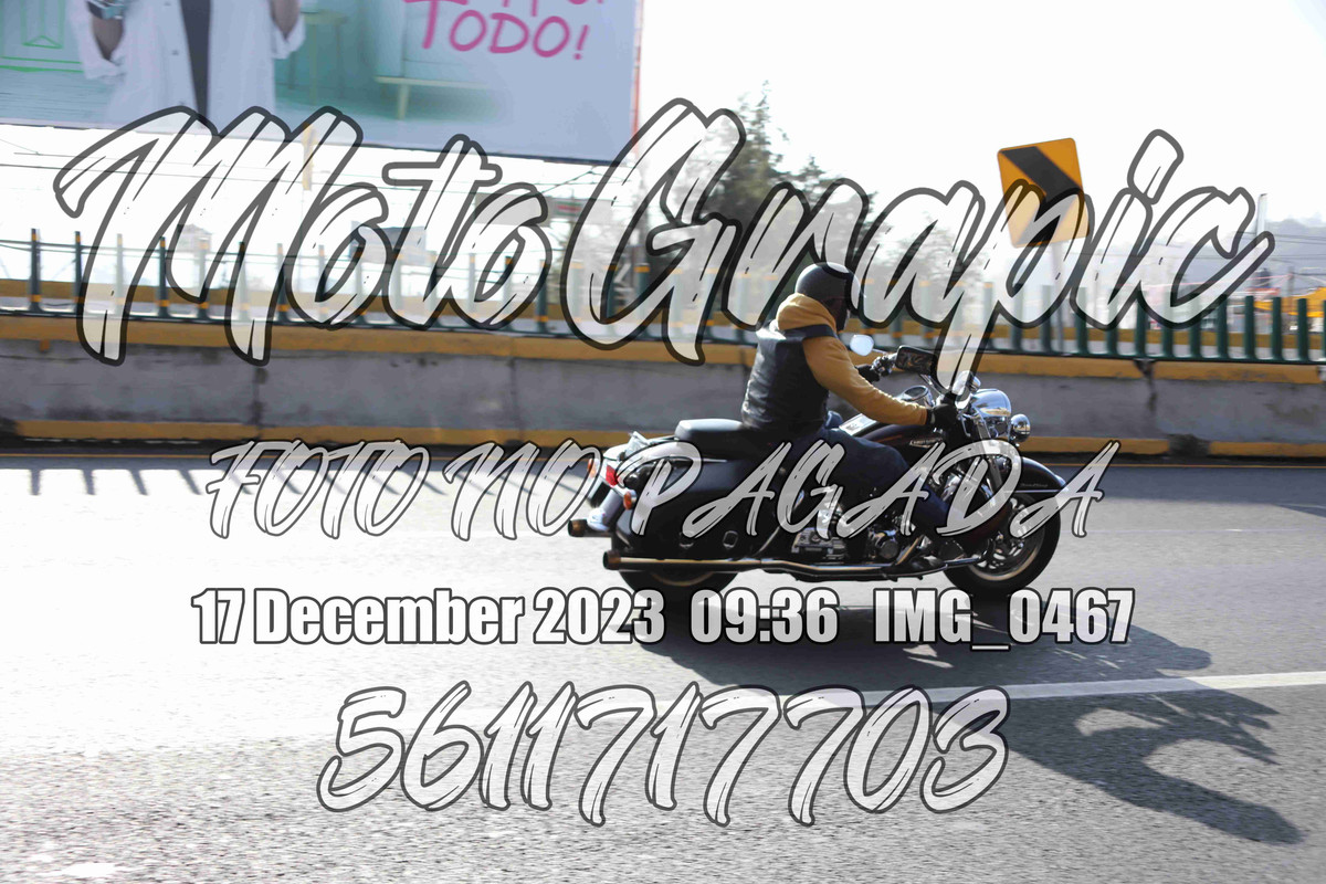 motgr IMG 0467 — Postimages