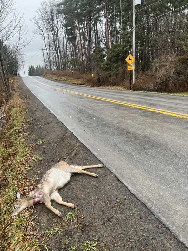 IMG 4792 — Postimages