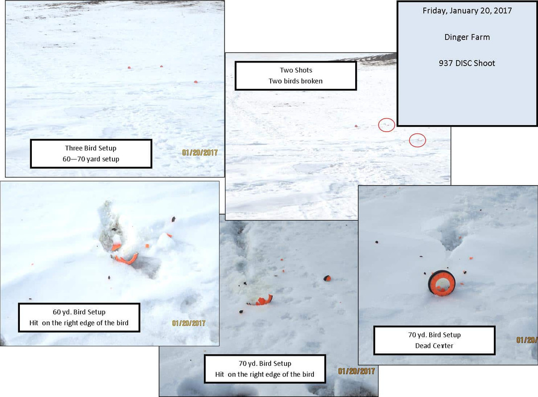 Bird Shoot — Postimages