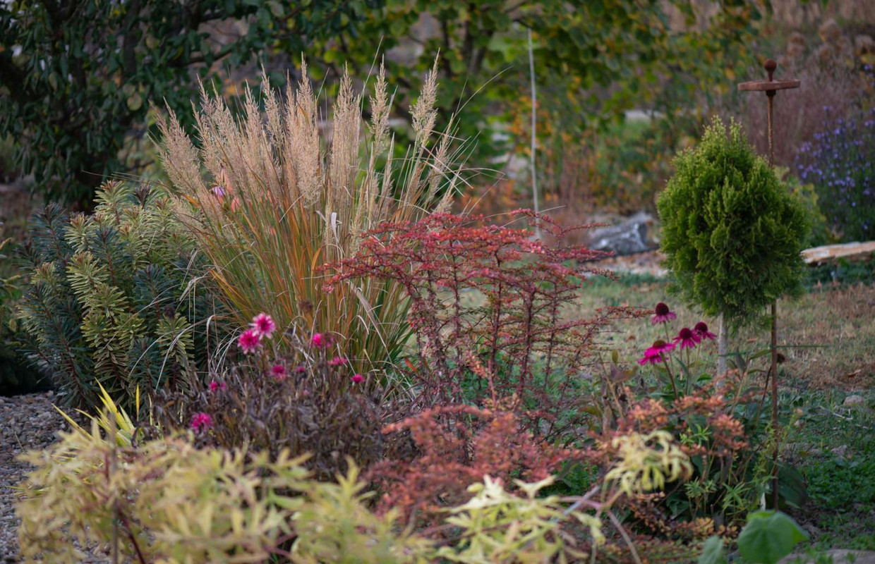 IMG 086131c9d0819f4fdf7e0c705e50fb21 V — Postimages